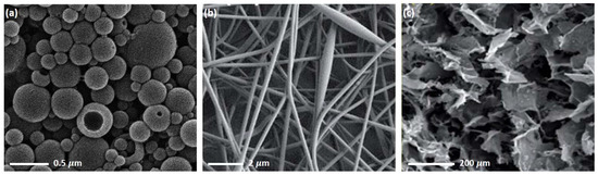 Lignin-Based Porous Biomaterials for Medical and Pharmaceutical ...