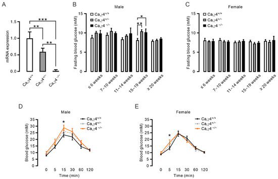 The Calcium Channel Subunit Gamma-4 as a Novel Regulator of MafA in ...