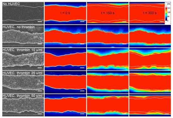 Multi-Layered Human Blood Vessels-on-Chip Design Using Double Viscous ...