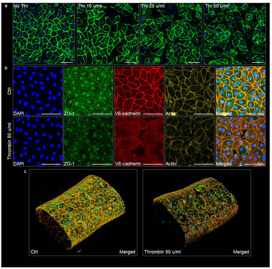 Multi-Layered Human Blood Vessels-on-Chip Design Using Double Viscous ...
