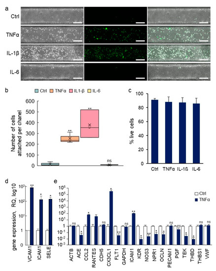 Multi-Layered Human Blood Vessels-on-Chip Design Using Double Viscous ...