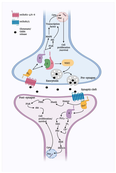 Group I mGluRs in Therapy and Diagnosis of Parkinson’s Disease: Focus ...