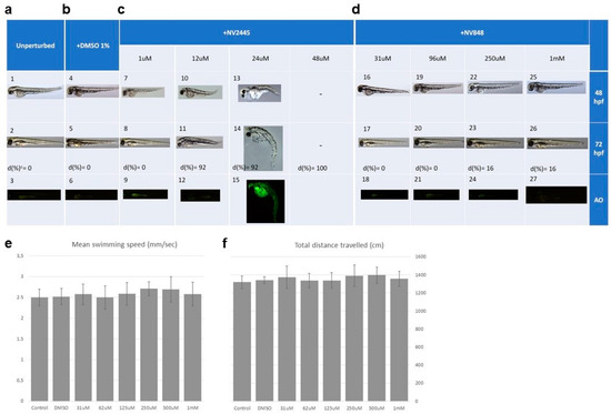 Novel Translational Read-through–Inducing Drugs as a Therapeutic Option ...