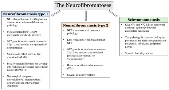 Biomedicines | Free Full-Text | Neurofibromatosis: New Clinical ...