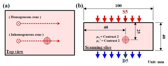 In Vivo Validation of Diffuse Optical Imaging with a Dual-Direction ...