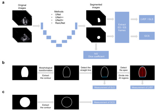 Automated Endocardial Border Detection and Left Ventricular Functional Assessment in ...