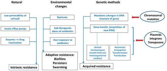 Microbial Resistance to Antibiotics and Effective Antibiotherapy