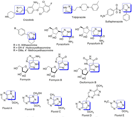 A Review of the Recent Development in the Synthesis and Biological ...