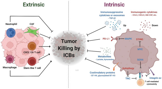 Biomedicines | Free Full-Text | Immune Checkpoint Blockades in Triple ...