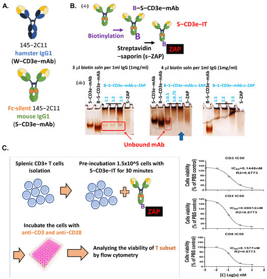 Comparison of CD3e Antibody and CD3e-sZAP Immunotoxin Treatment in Mice ...