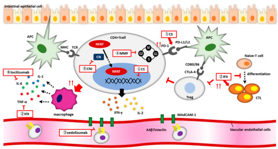 Pharmacological Treatments Available for Immune-Checkpoint-Inhibitor ...