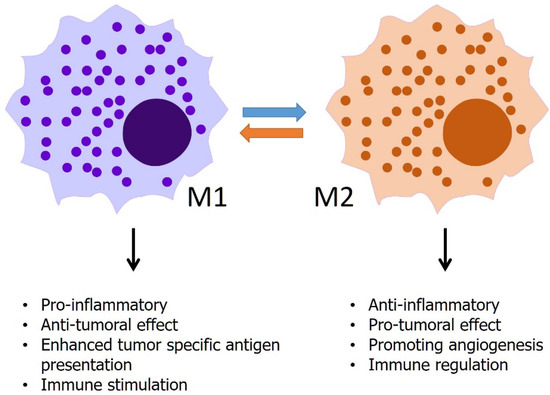 Molecular Mechanisms and Potential Rationale of Immunotherapy in ...