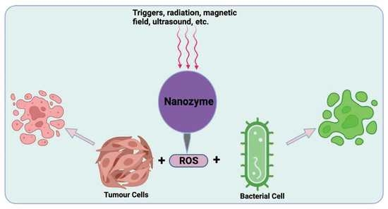 Biomedicines | Free Full-Text | Emerging Prospects of Nanozymes for ...
