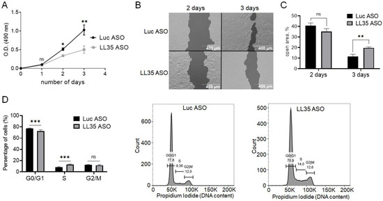 Murine Falcor/LL35 lncRNA Contributes to Glucose and Lipid Metabolism ...