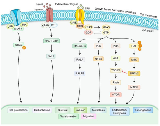 Therapeutic Aspects and Molecular Targets of Autophagy to Control ...