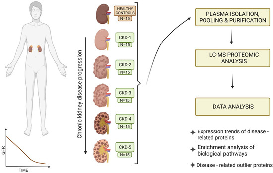 Stage II of Chronic Kidney Disease—A Tipping Point in Disease Progression?