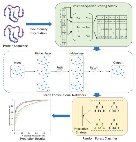 SIPGCN: A Novel Deep Learning Model for Predicting Self-Interacting Proteins from Sequence ...
