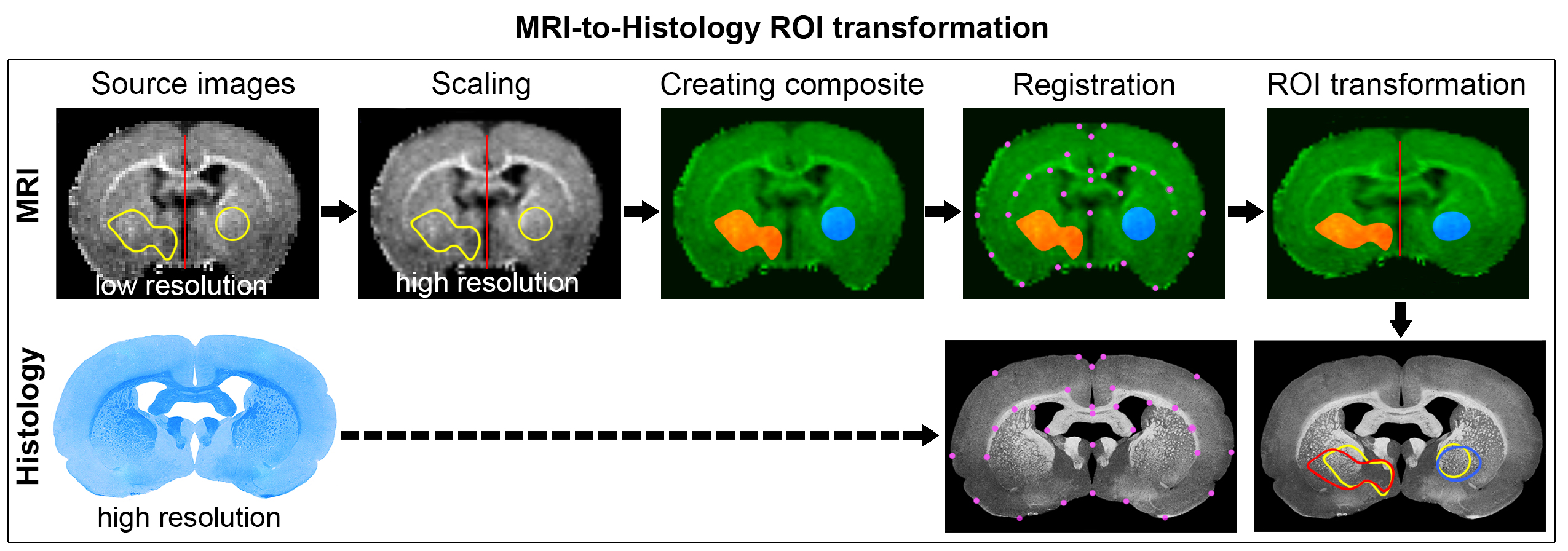 Biomedicines | Free Full-Text | Challenges and Practical Solutions to ...