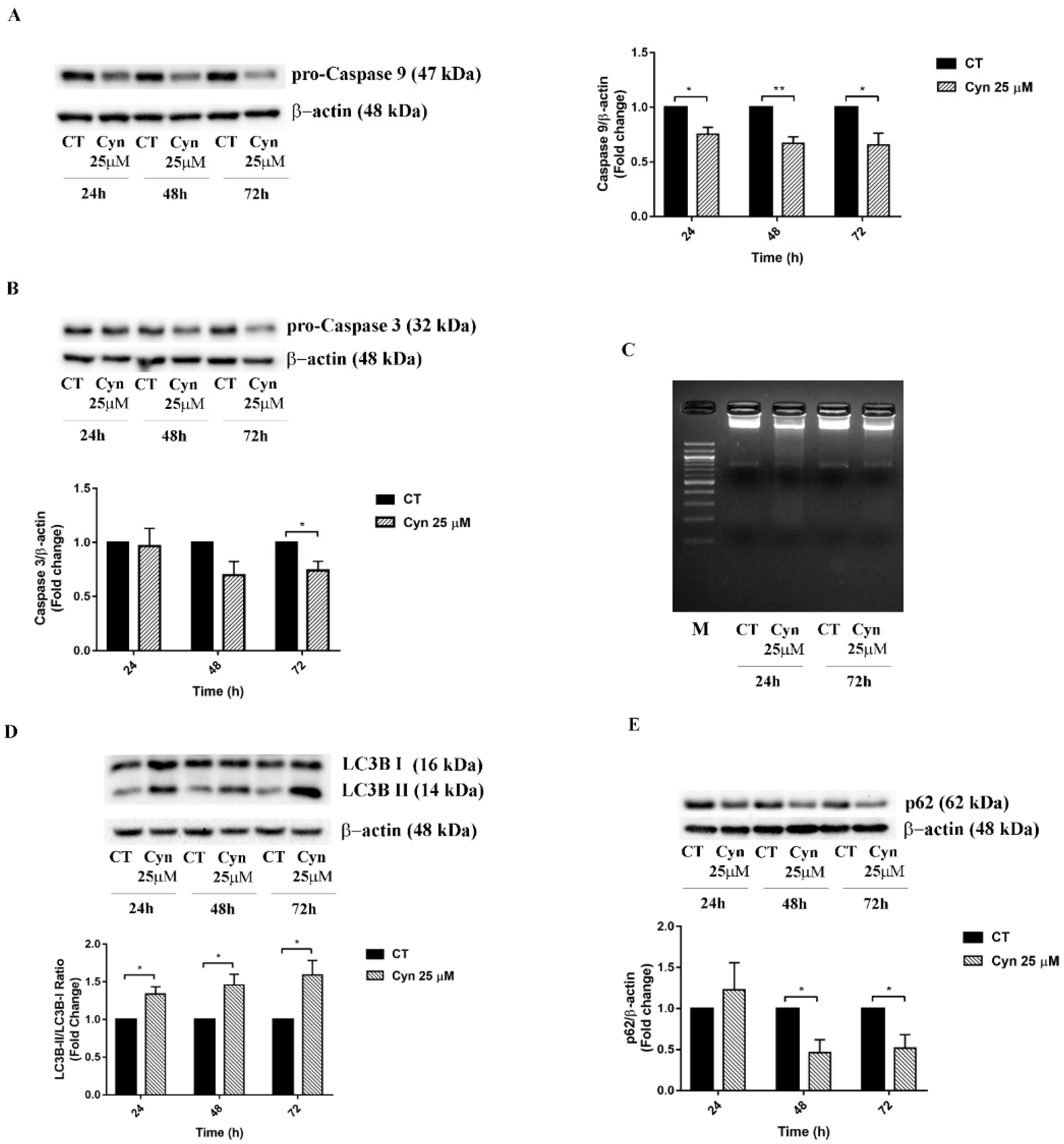 Biomedicines | Free Full-Text | The Sesquiterpene Lactone Cynaropicrin ...