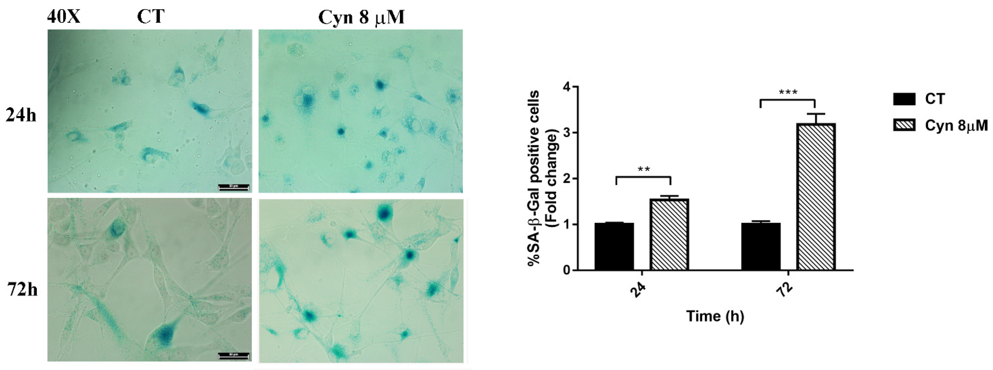 Biomedicines | Free Full-Text | The Sesquiterpene Lactone Cynaropicrin ...