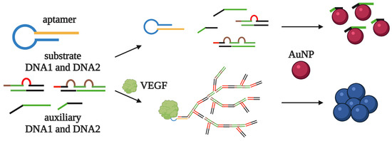 Aptamer-Based Biosensors for the Colorimetric Detection of Blood ...