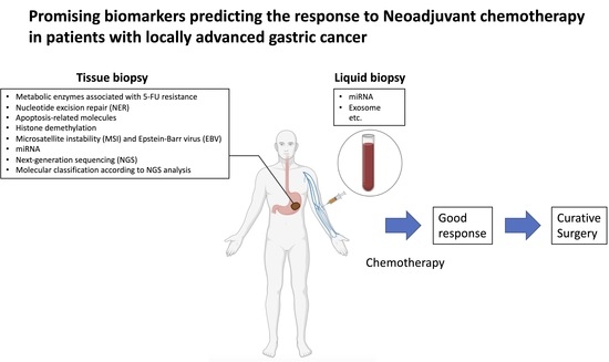 Biomedicines | Free Full-Text | Treatment Response Predictors of Neoadjuvant Therapy for Locally ...