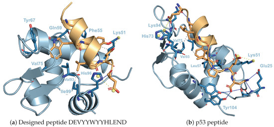 Solubility-Aware Protein Binding Peptide Design Using AlphaFold