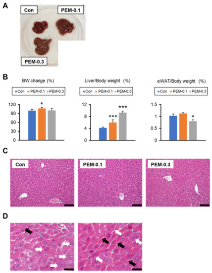 Clinically Relevant Dose of Pemafibrate, a Novel Selective Peroxisome ...