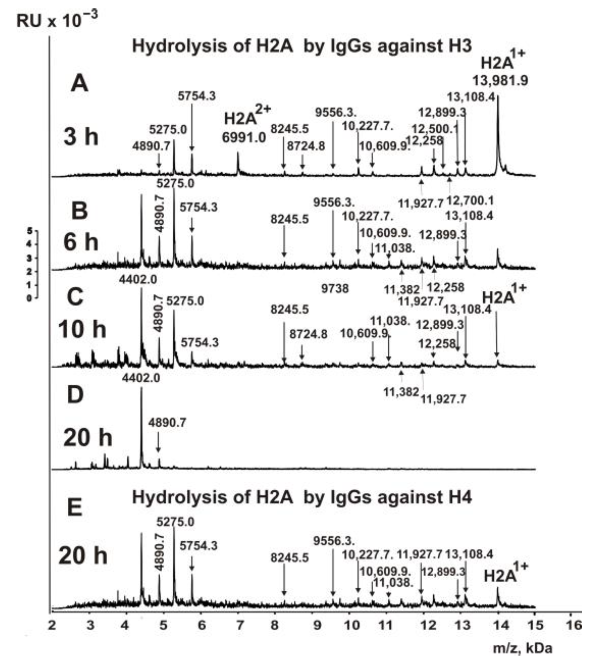 Multiple Sclerosis: Enzymatic Cross Site-Specific Recognition and Hydrolysis of H2A Histone by ...