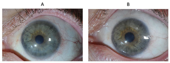 Biomedicines | An Open Access Journal from MDPI