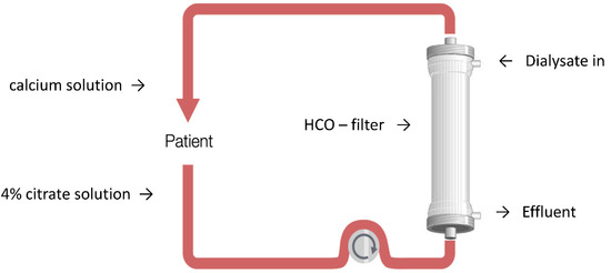 Biomedicines | Free Full-Text | The Supporting Role of Combined and ...