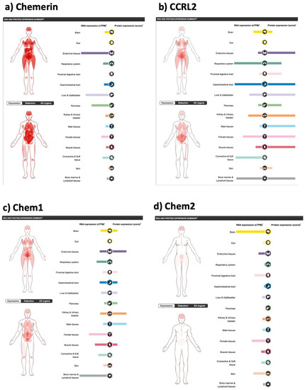Biomedicines | Free Full-Text | Chemerin Forms: Their Generation and ...
