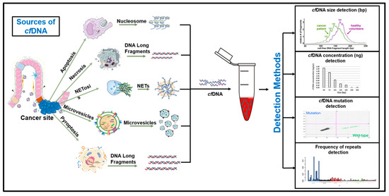 Biomedicines | Free Full-Text | Diagnostic and Therapeutic Potential of Circulating-Free DNA and ...