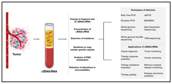 Biomedicines | Free Full-Text | Diagnostic and Therapeutic Potential of Circulating-Free DNA and ...