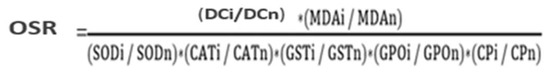 The Role of Immunoglobulin G (IgG), IgA and IgE—Antibodies against ...