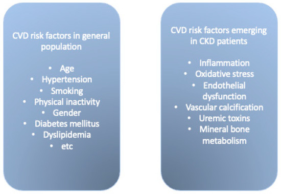 Atherosclerosis Specific Features in Chronic Kidney Disease (CKD)