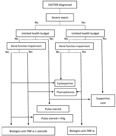 Biomedicines | Free Full-Text | A Review of the Systemic Treatment of Stevens–Johnson Syndrome ...