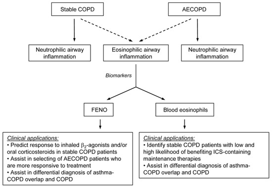 Blood Eosinophils and Exhaled Nitric Oxide: Surrogate Biomarkers of ...