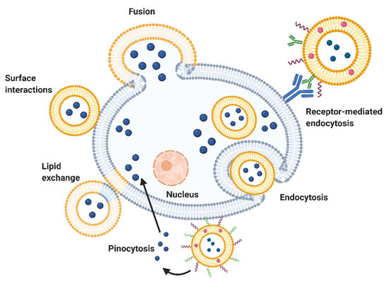 Lipid-Based Drug Delivery Systems for Diseases Managements