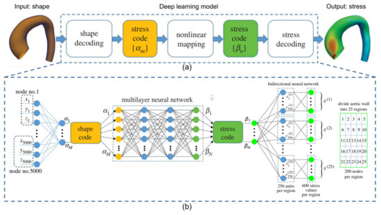 Biomedicines | Free Full-Text | Interplay between Artificial Intelligence and Biomechanics ...