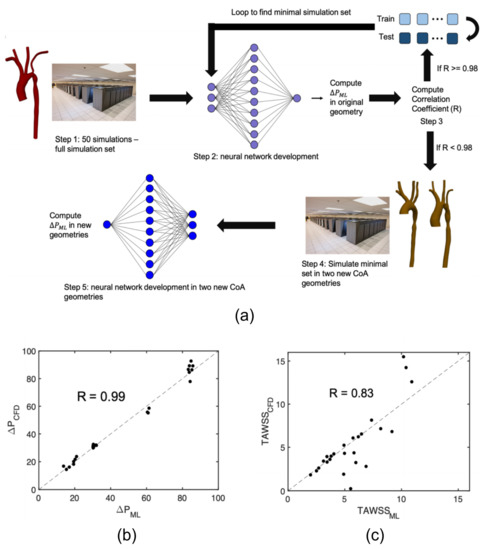 Biomedicines | Free Full-Text | Interplay between Artificial Intelligence and Biomechanics ...