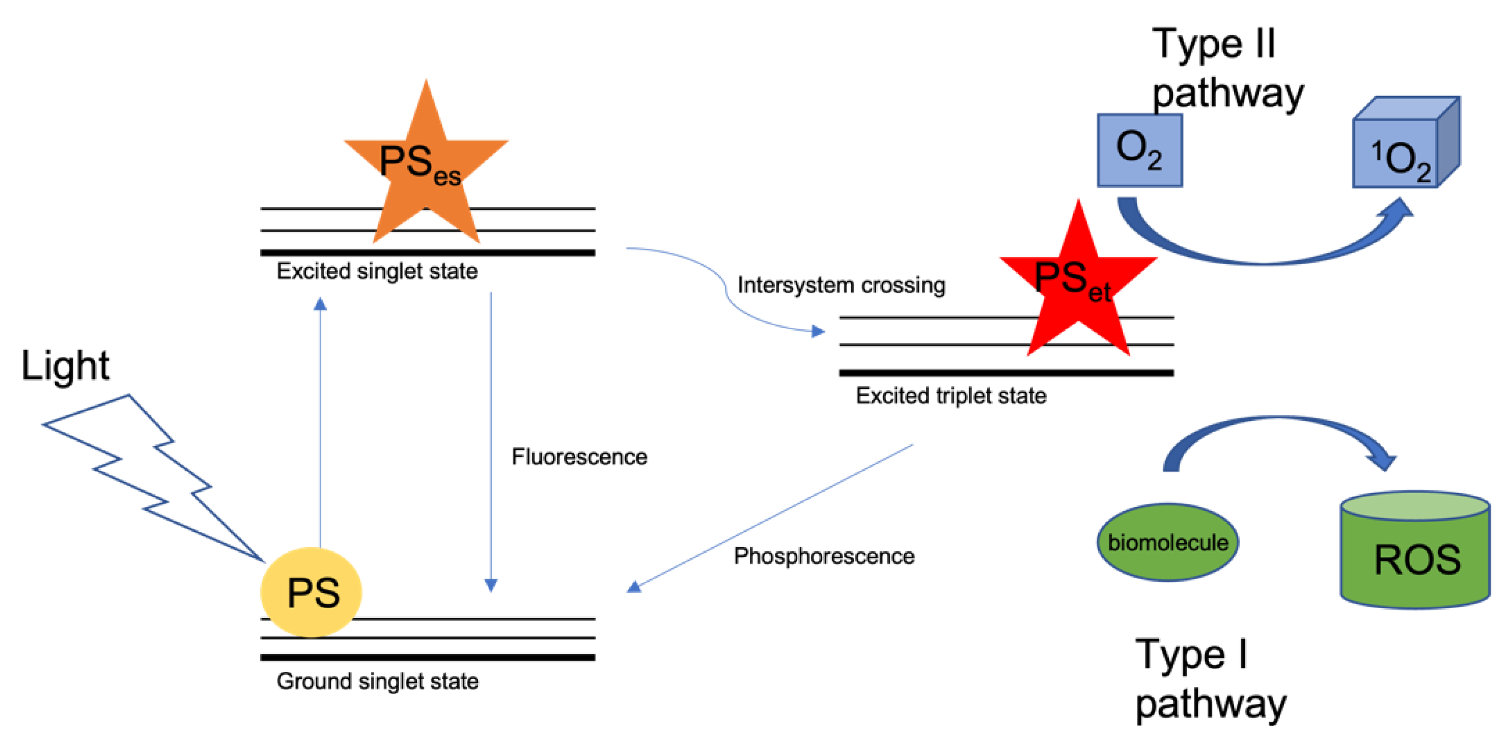 Biomedicines | Free Full-Text | The Potential of Antibody Technology and Silver Nanoparticles ...