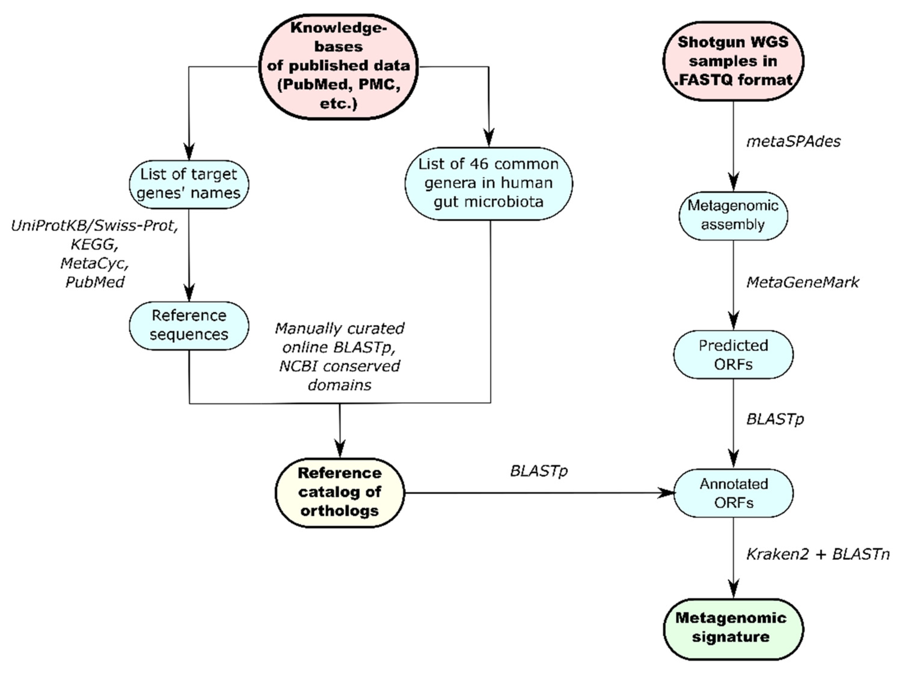 Alterations of the Composition and Neurometabolic Profile of Human Gut Microbiota in Major ...