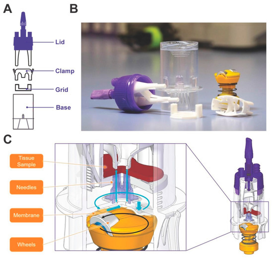 Isolation of Hepatocytes from Liver Tissue by a Novel, Semi-Automated ...