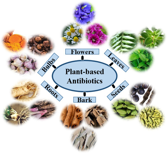 Combination Strategies of Different Antimicrobials: An Efficient and ...