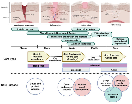 The Discovery and Development of Natural-Based Biomaterials with ...