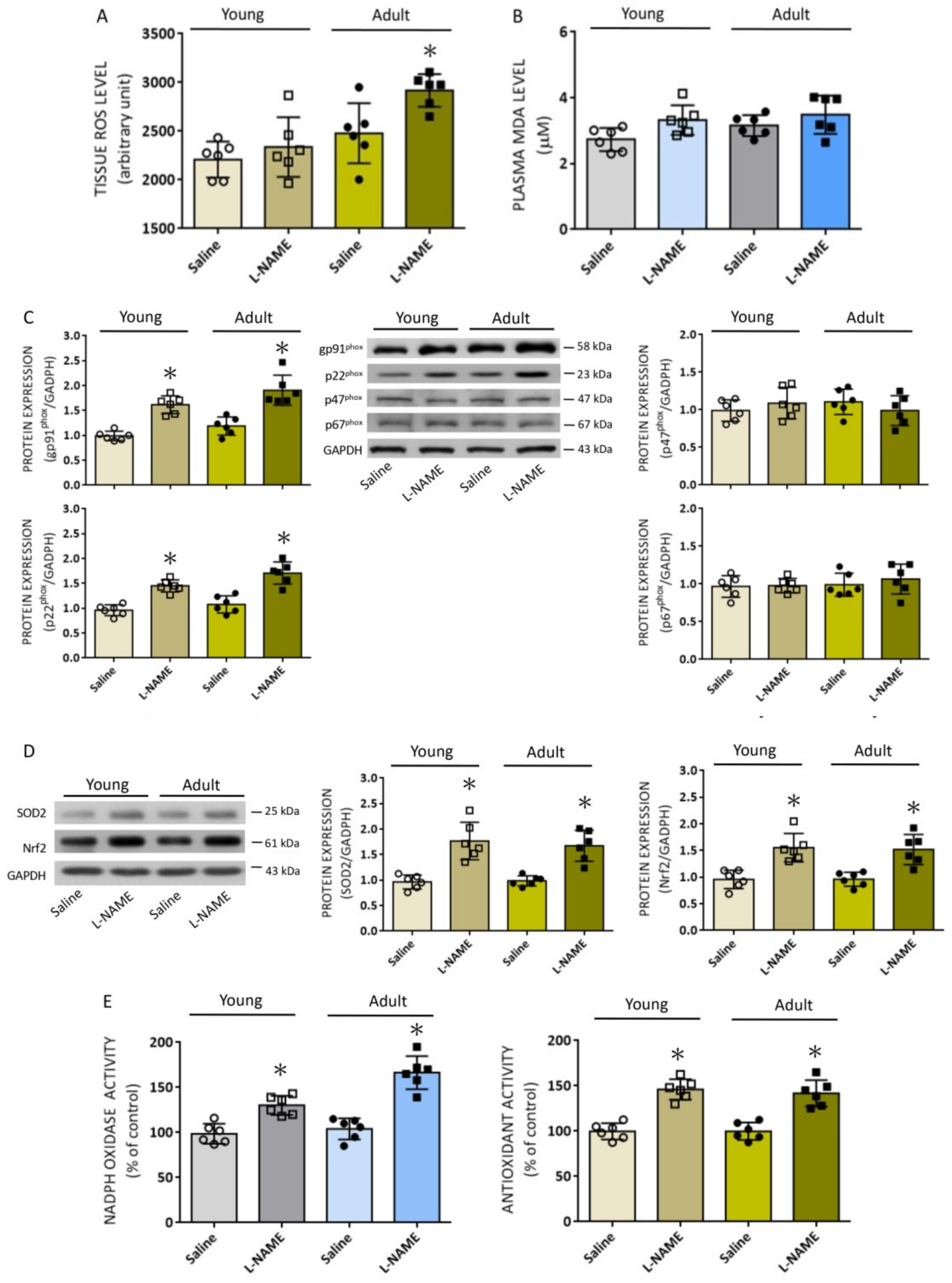 Disparate Roles of Oxidative Stress in Rostral Ventrolateral Medulla in ...