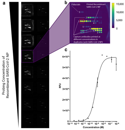 A Protein Microarray-Based Respiratory Viral Antigen Testing Platform ...
