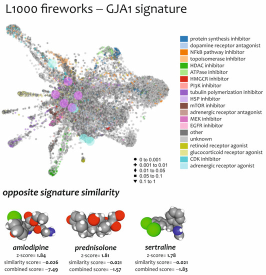 Biomedicines | Free Full-Text | GJA1/CX43 High Expression Levels in the ...