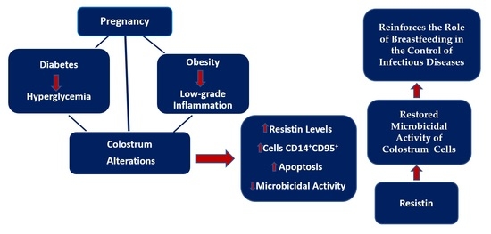 Biomedicines | Free Full-Text | Resistin Modulates the Functional ...